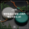 뱅앤올룹슨 리뷰 돌아온 캠핑의 계절 뱅앤올룹슨 블루투스 캠핑스피커 베오사운드 A1 후기 네이버 블로그